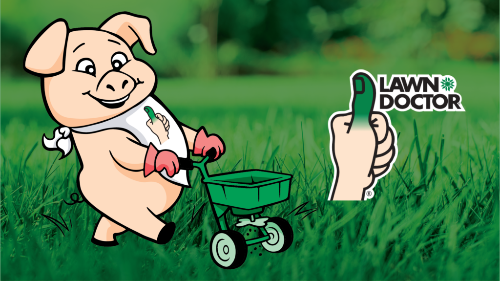 Lawn Doctor Logo 7,428 Care Logo High Res Illustrations Getty Images